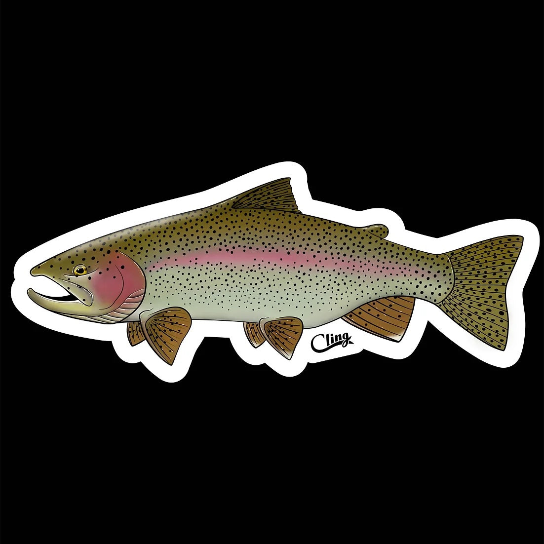Cling Rainbow Trout Decal – Musky Fool