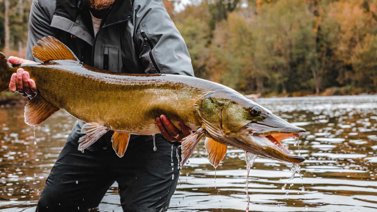 Musky Fly Fishing Gear - The Original Musky Fly Shop – Musky Fool